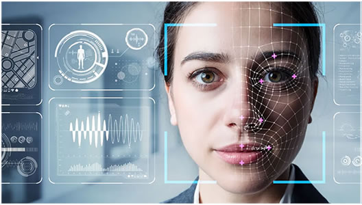 Monitoramento por Câmeras de Segurança Controle de Acesso